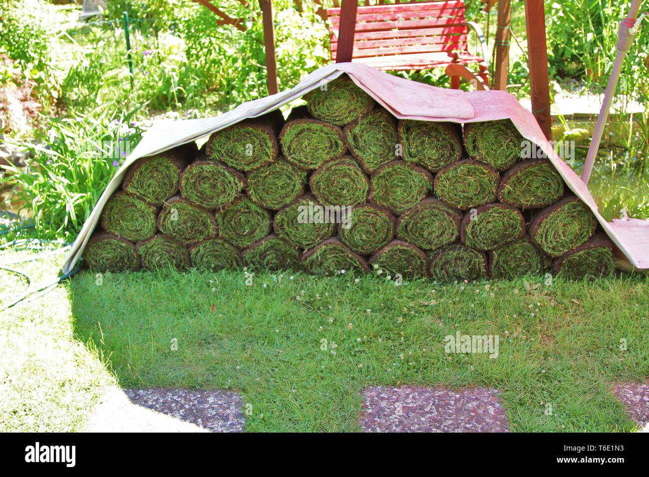 Turf stacked in rolls Stock Photo - Alamy