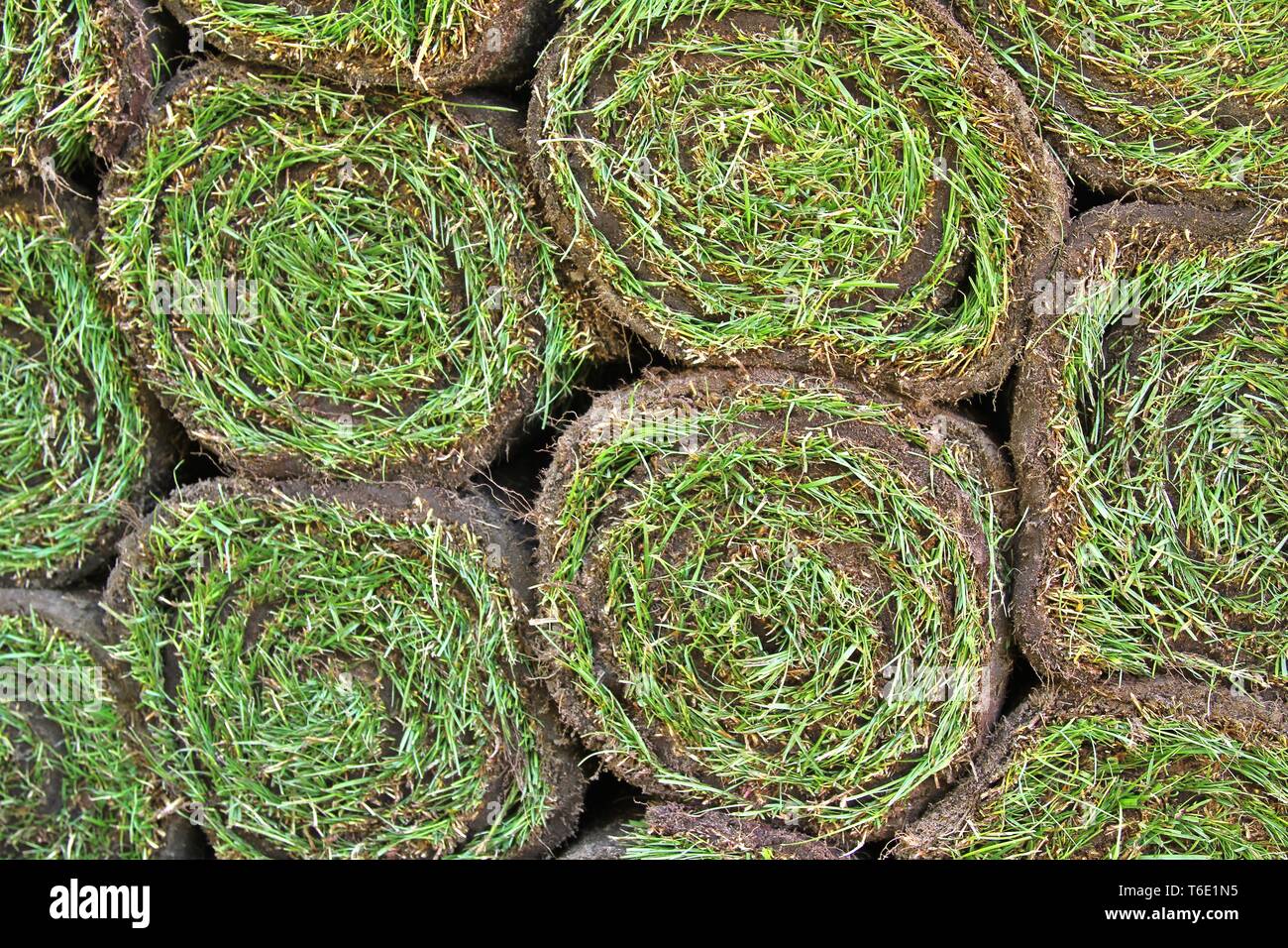Rolls of turf hi-res stock photography and images - Alamy