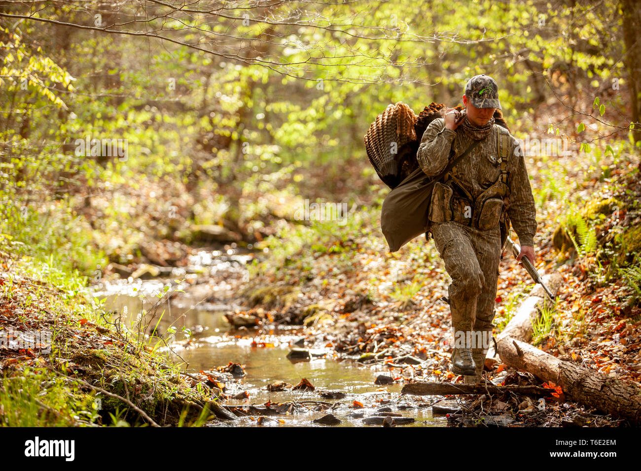 Turkey hunter walking creek hi-res stock photography and images - Alamy