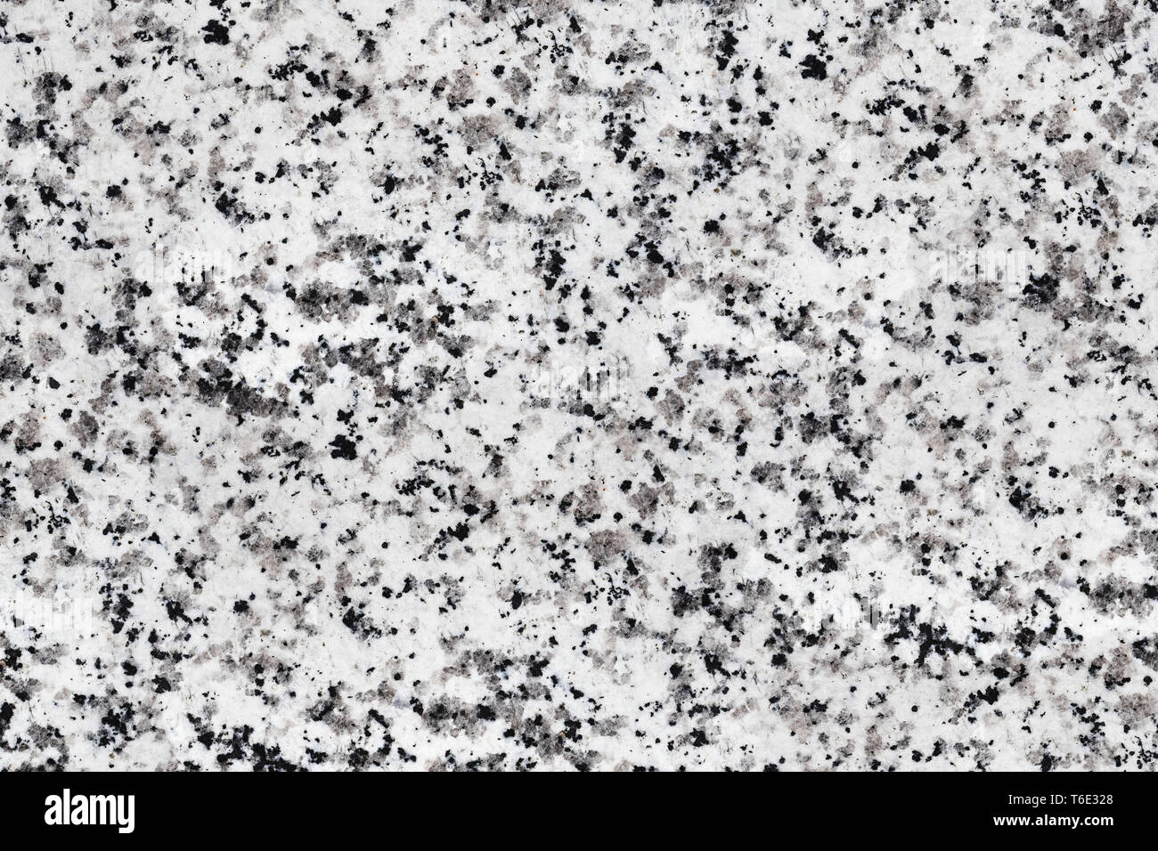 Polished White Granite Texture