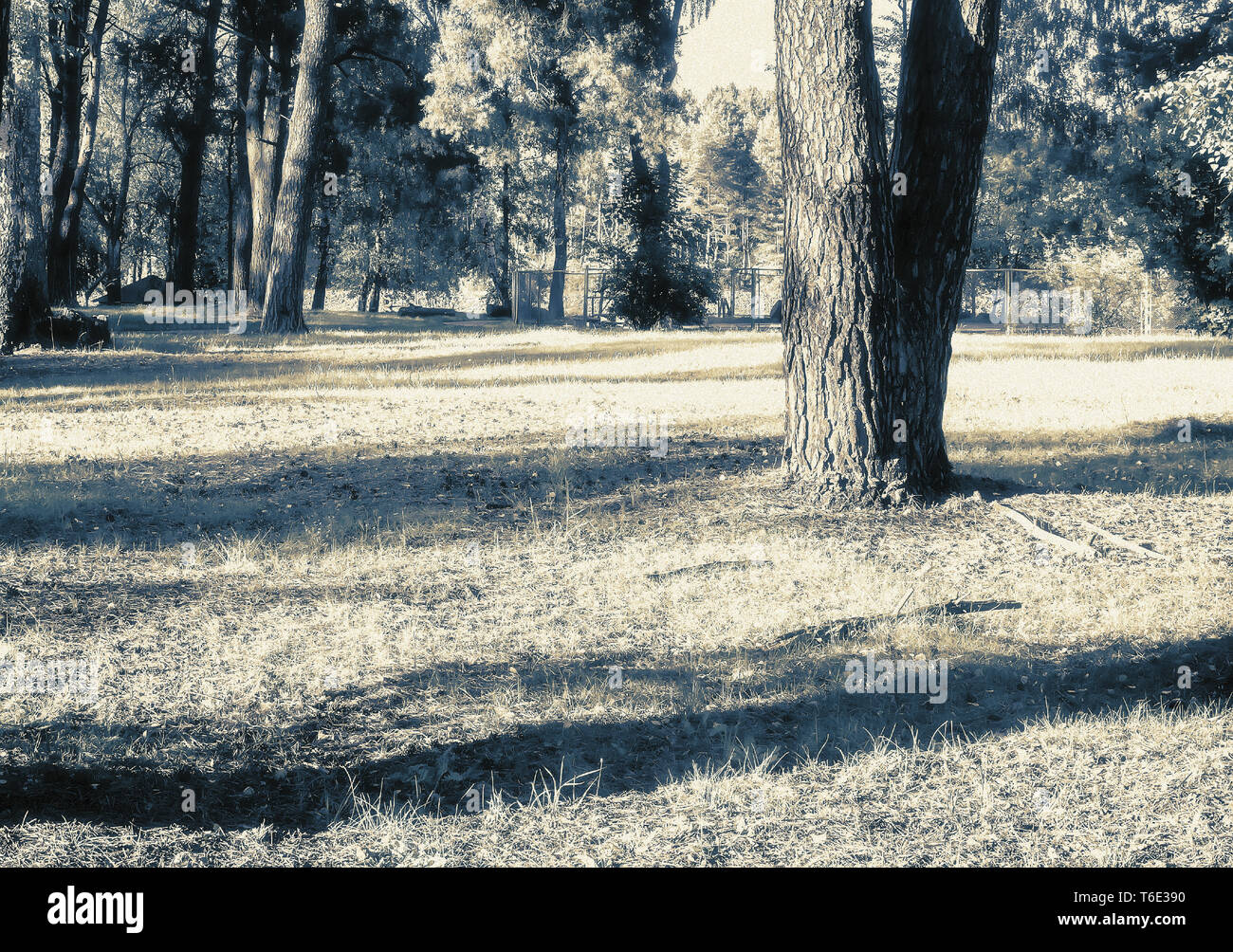 Infrared sun hi-res stock photography and images - Alamy