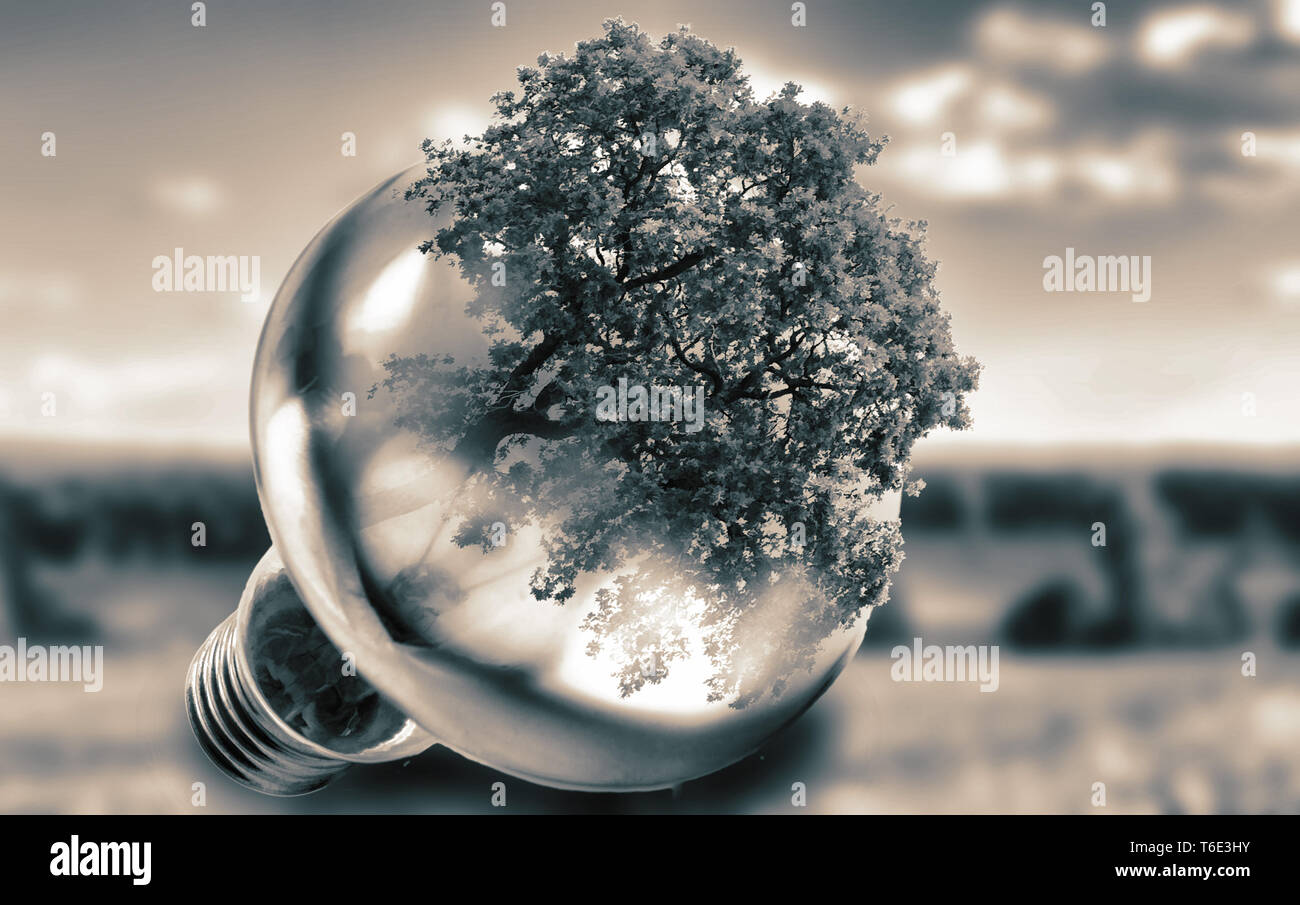 Light bulb effect hi-res stock photography and images - Alamy