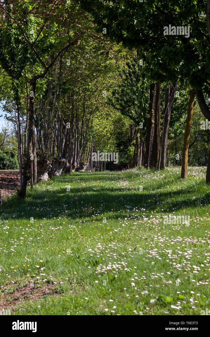 Silent path hi-res stock photography and images - Alamy