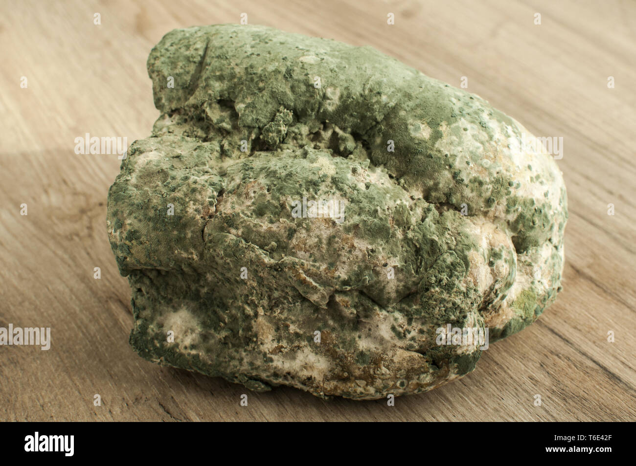 Moldy and musty wheat bread loaf on wooden background Stock Photo - Alamy