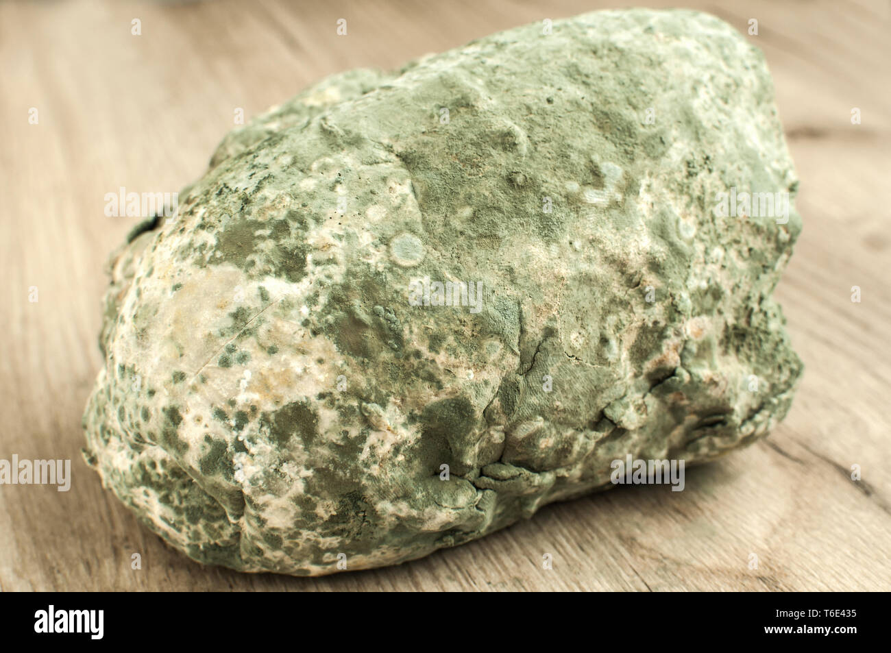 Moldy and musty wheat bread loaf on wooden background Stock Photo - Alamy