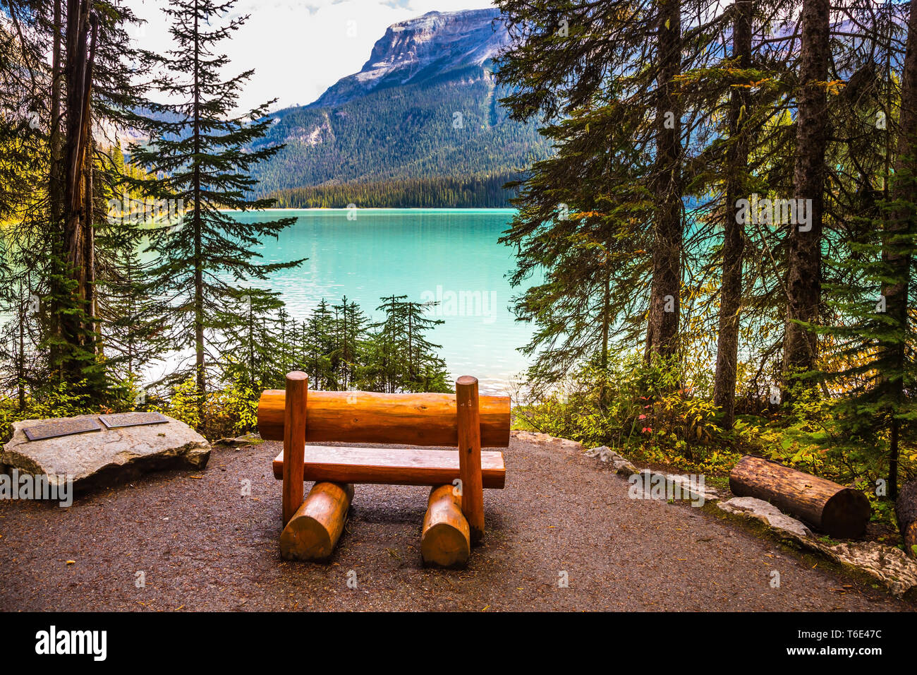 Wooden bench on the lake shore Stock Photo - Alamy