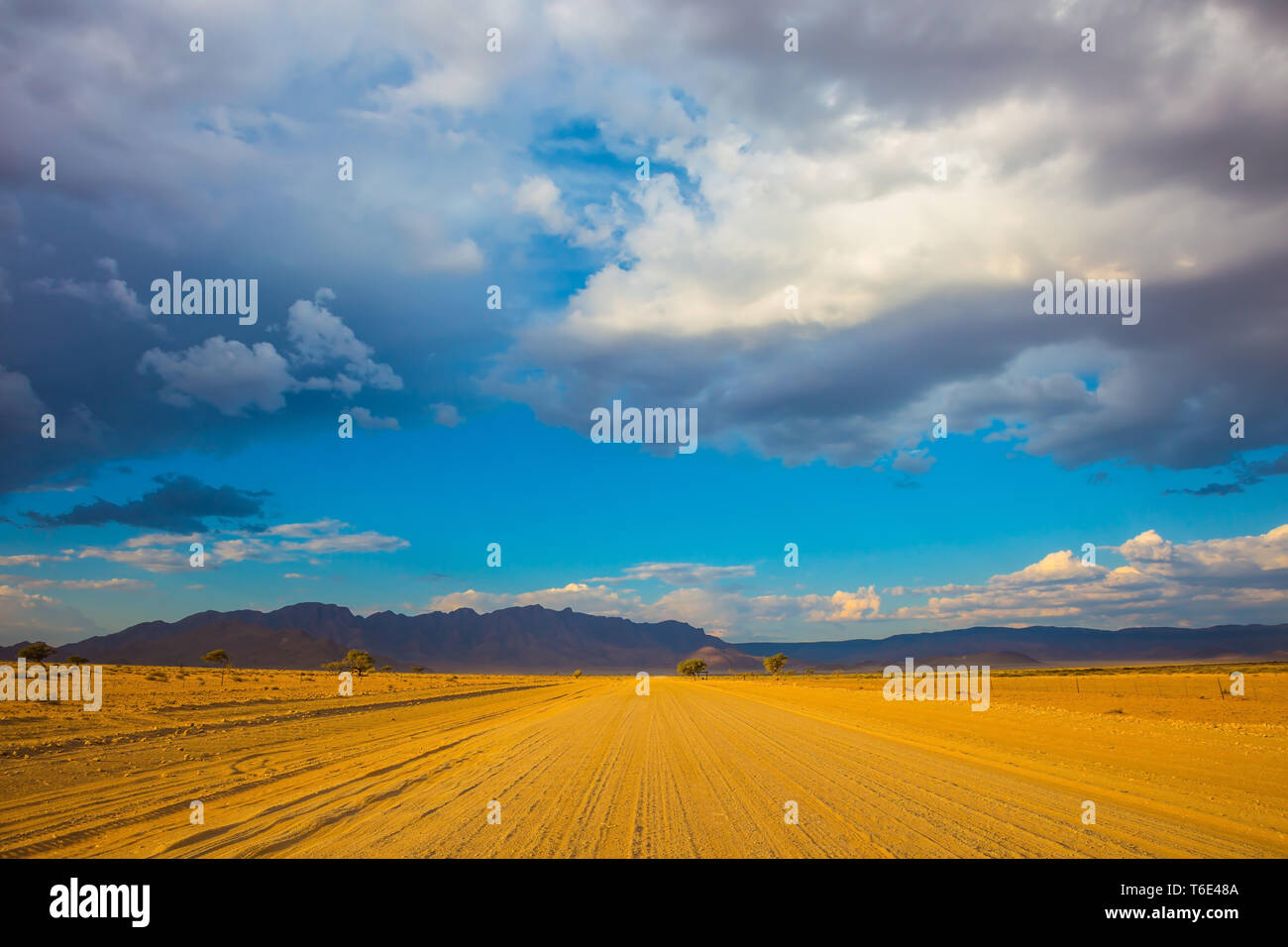 The wide dirt road Stock Photo - Alamy