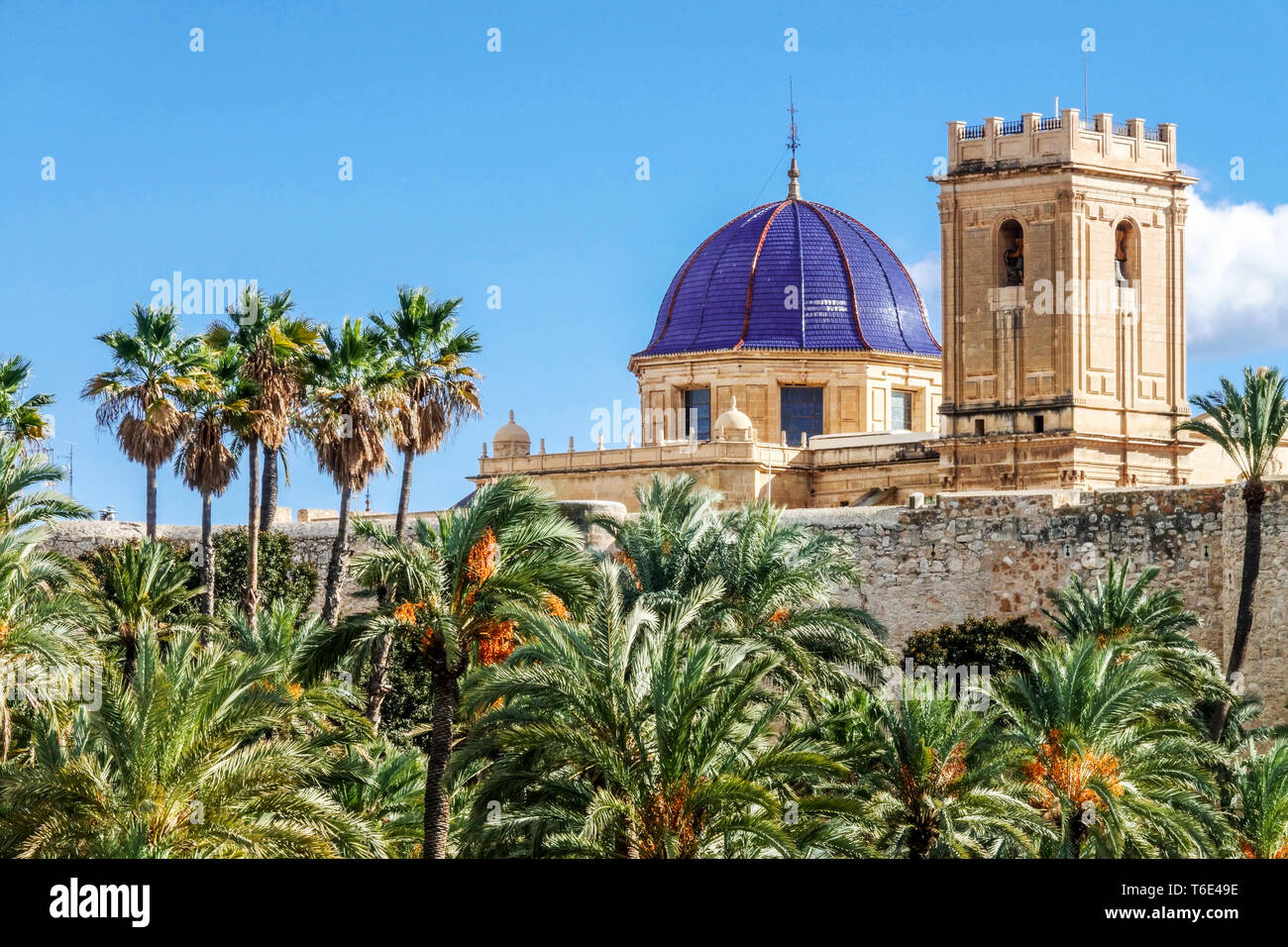 Spain Elche Palm trees and blue dome of Basílica de Santa María, Elche ...