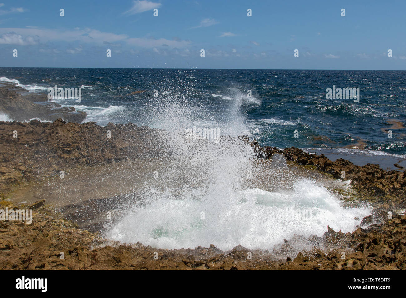 Water is violently squeezed into the blow hole and erupting Stock Photo ...