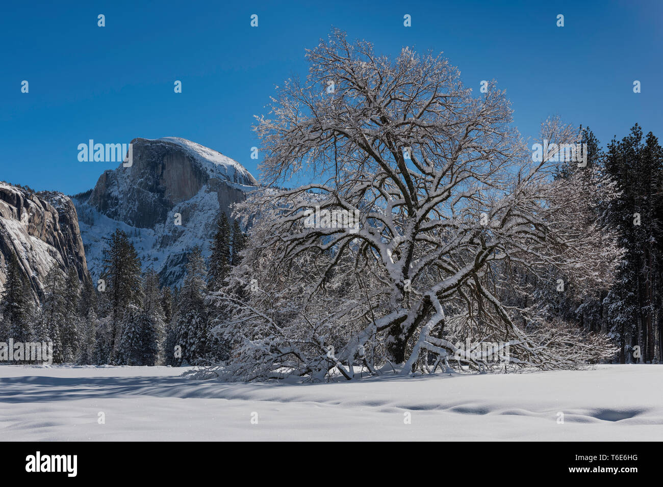 Cooks meadow yosemite hi-res stock photography and images - Alamy