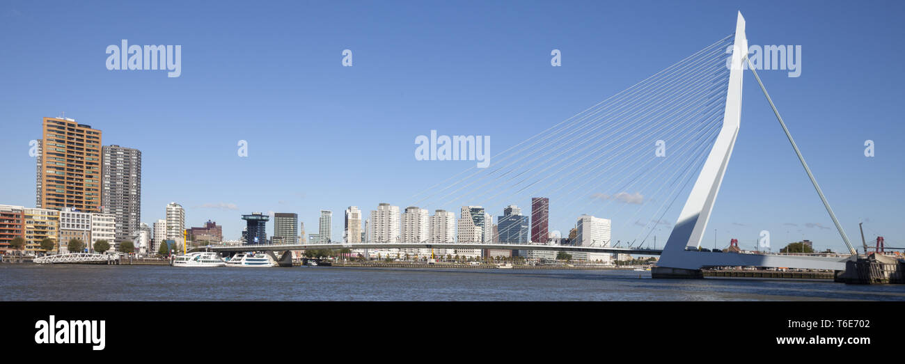 High rise buildings and Erasmusbridge, Rotterdam Stock Photo - Alamy