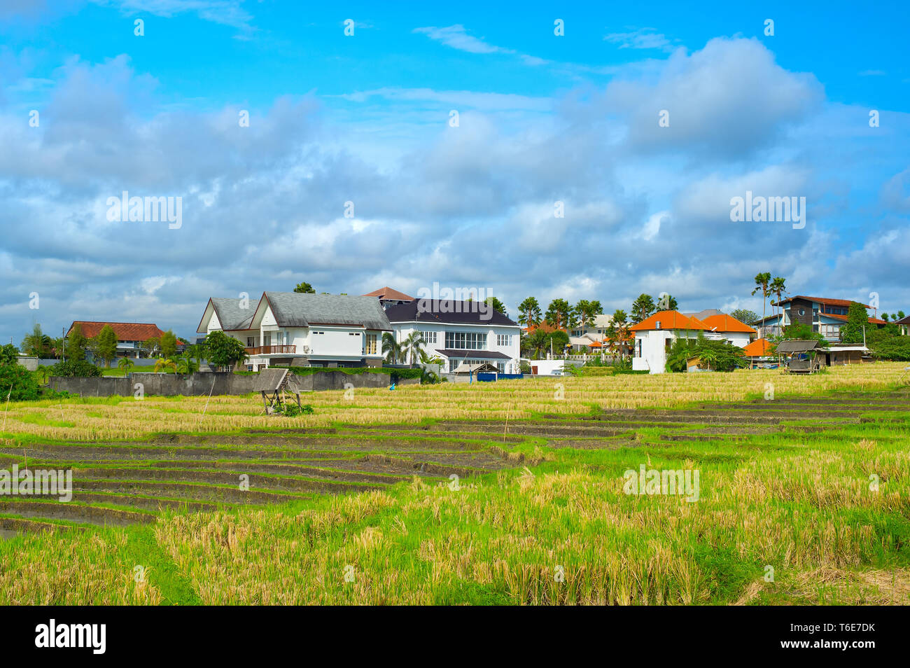 Villa rice field Bali Indonesia Stock Photo - Alamy