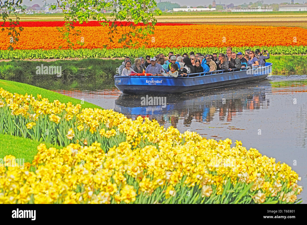 Boat cruise at Keukenhof Gardens, Holland Stock Photo - Alamy