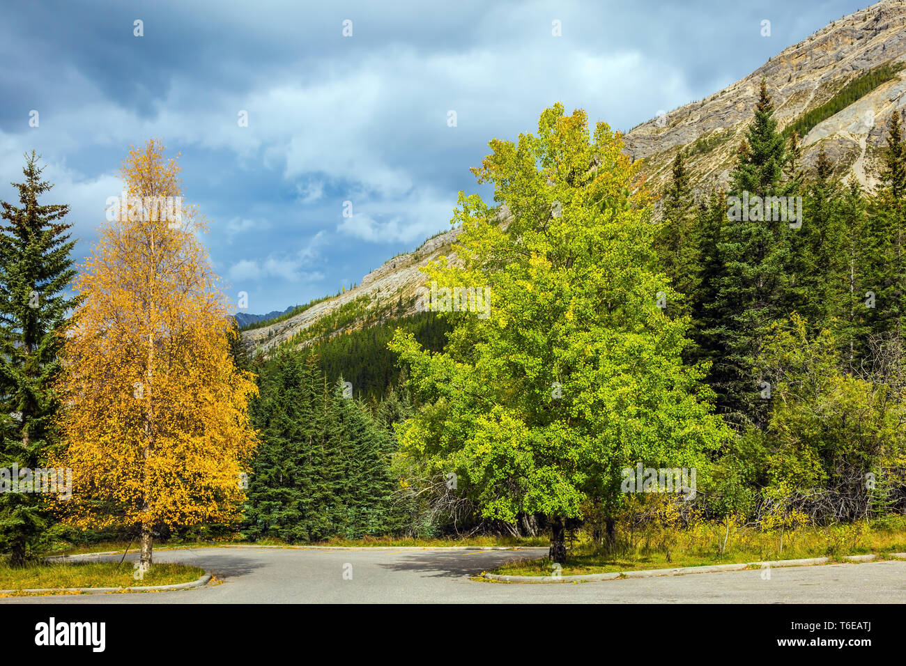 Indian summer in nature hi-res stock photography and images - Alamy