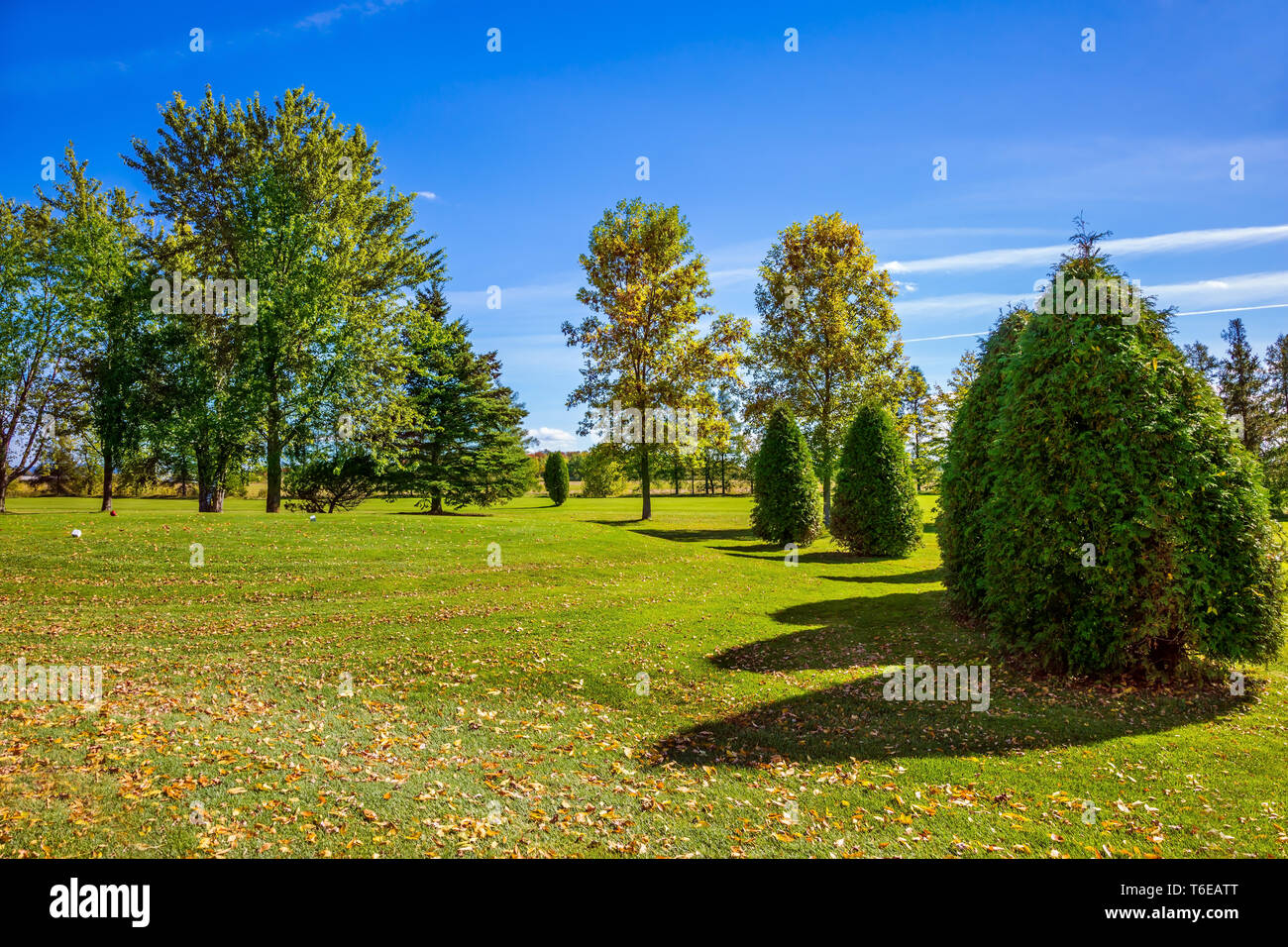 Magnificent day hi-res stock photography and images - Alamy