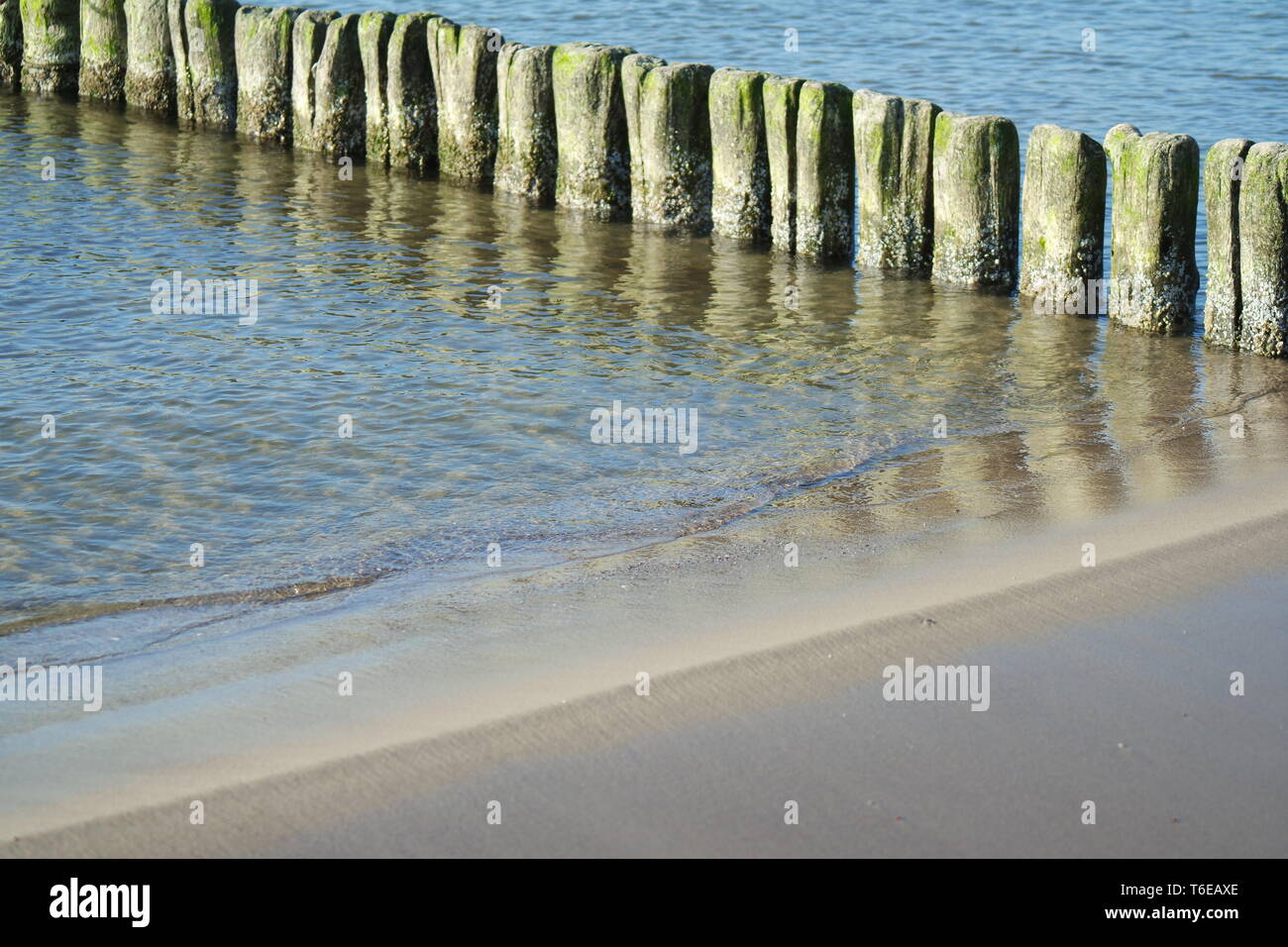 Old groynes on the beach Stock Photo - Alamy