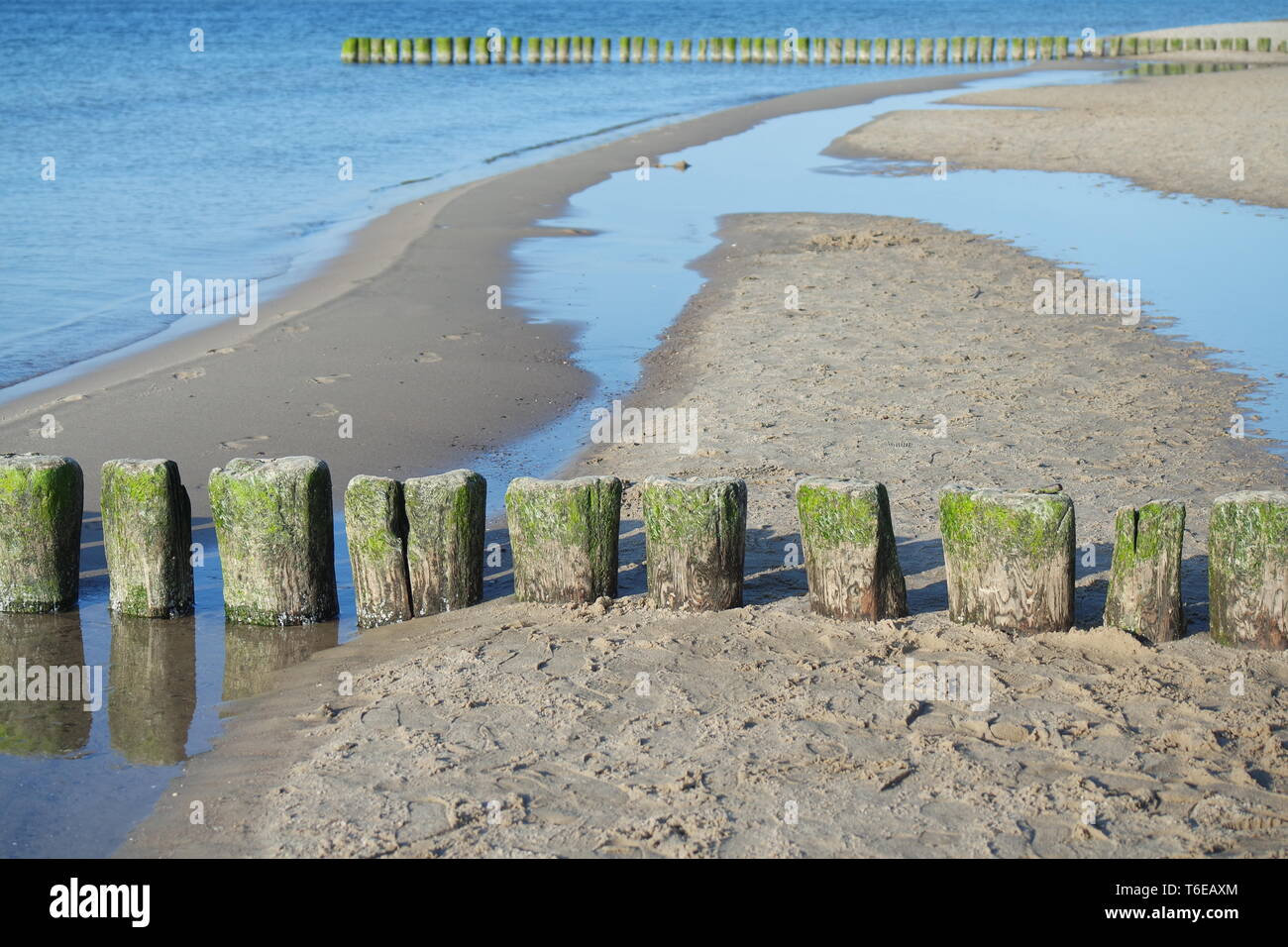 Old groynes on the beach Stock Photo - Alamy