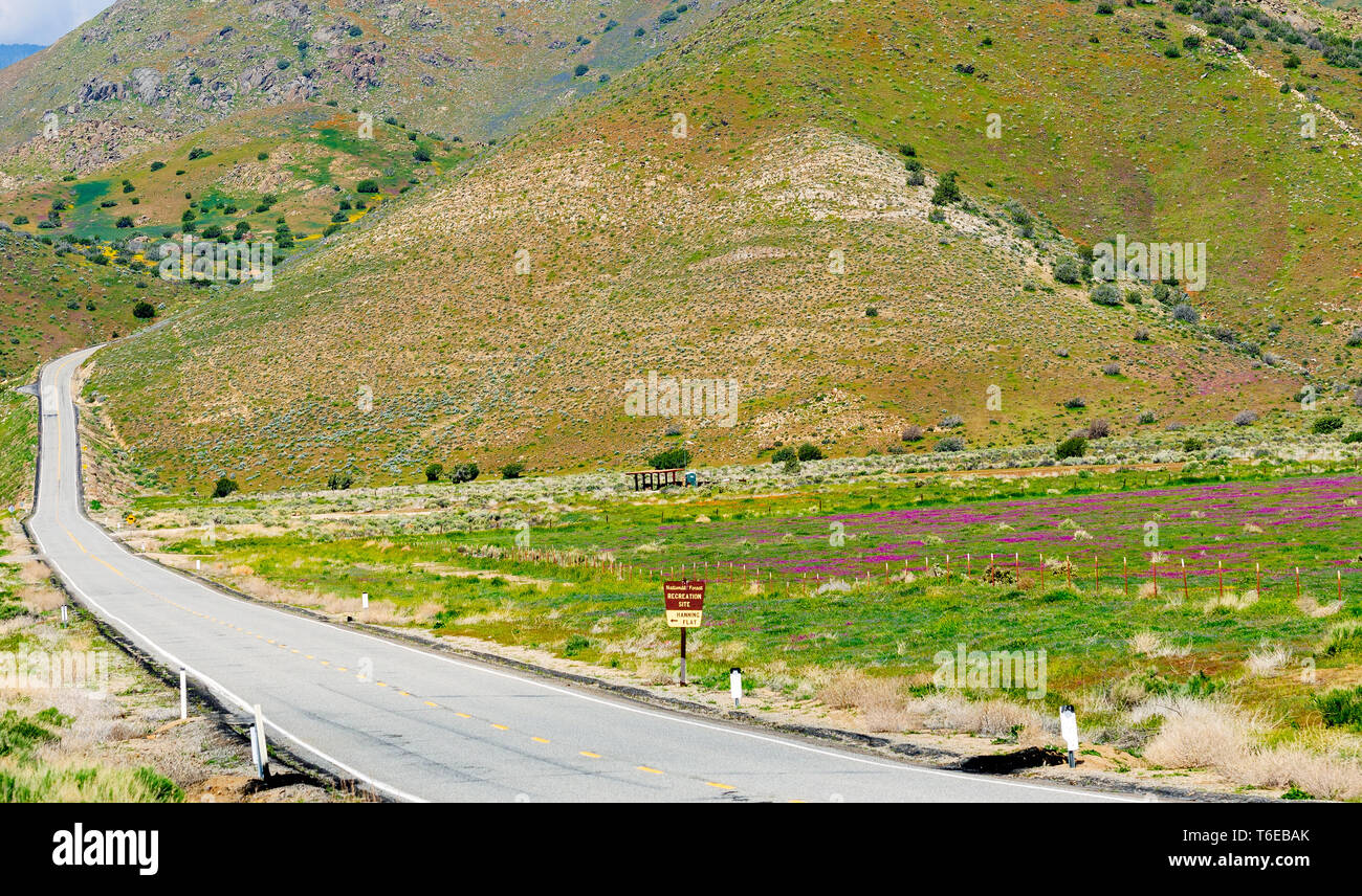 Road running through hills hi-res stock photography and images - Alamy