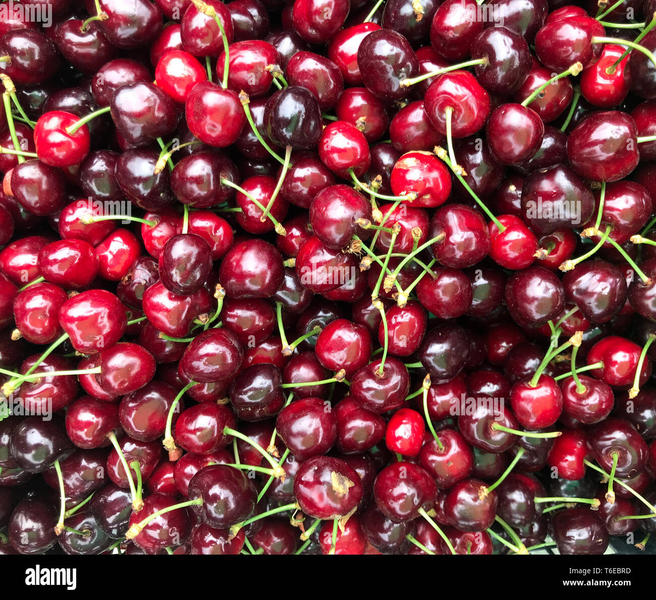 fresh red cherries Stock Photo - Alamy