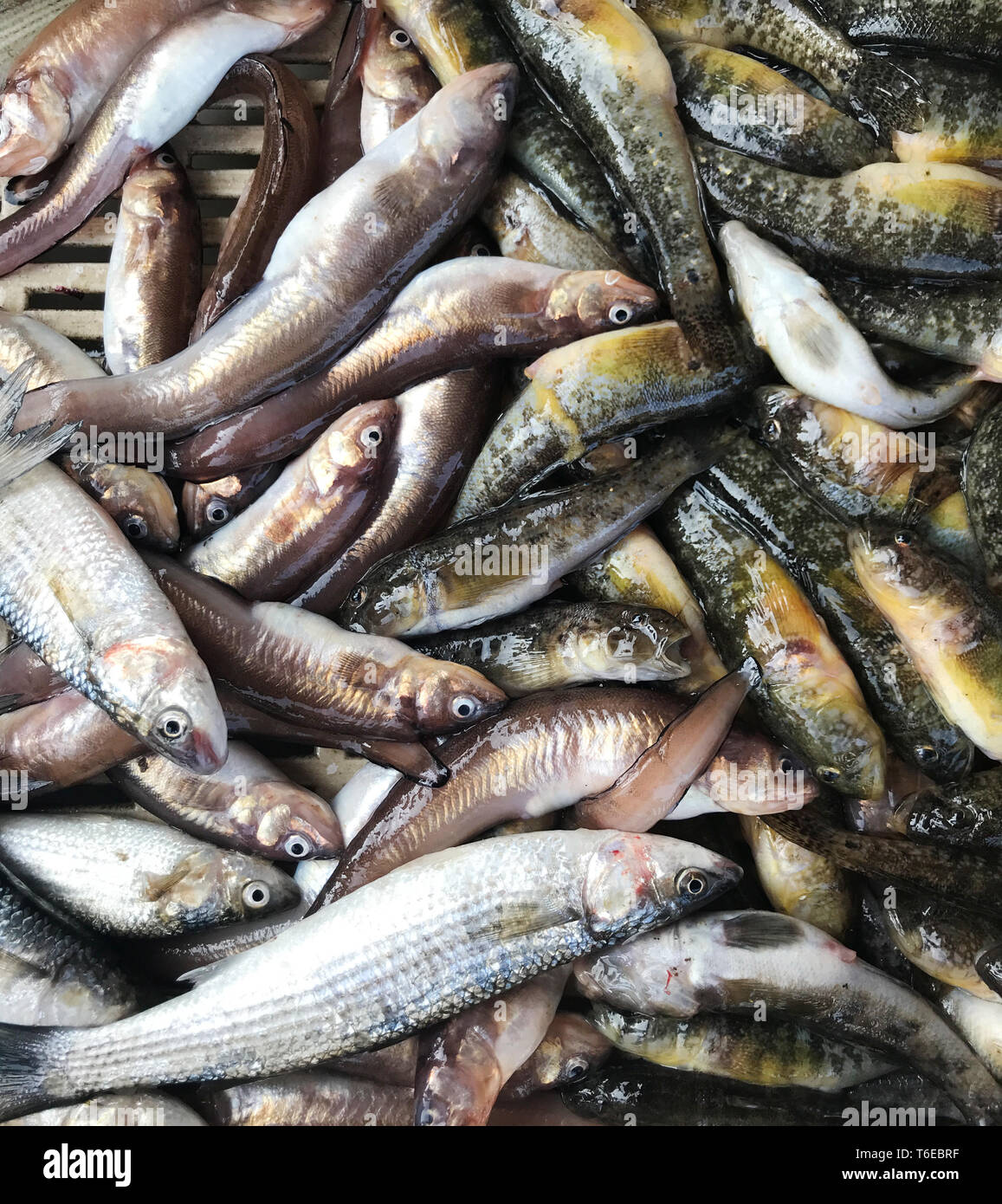 Lots Of Merchandise High Resolution Stock Photography and Images - Alamy