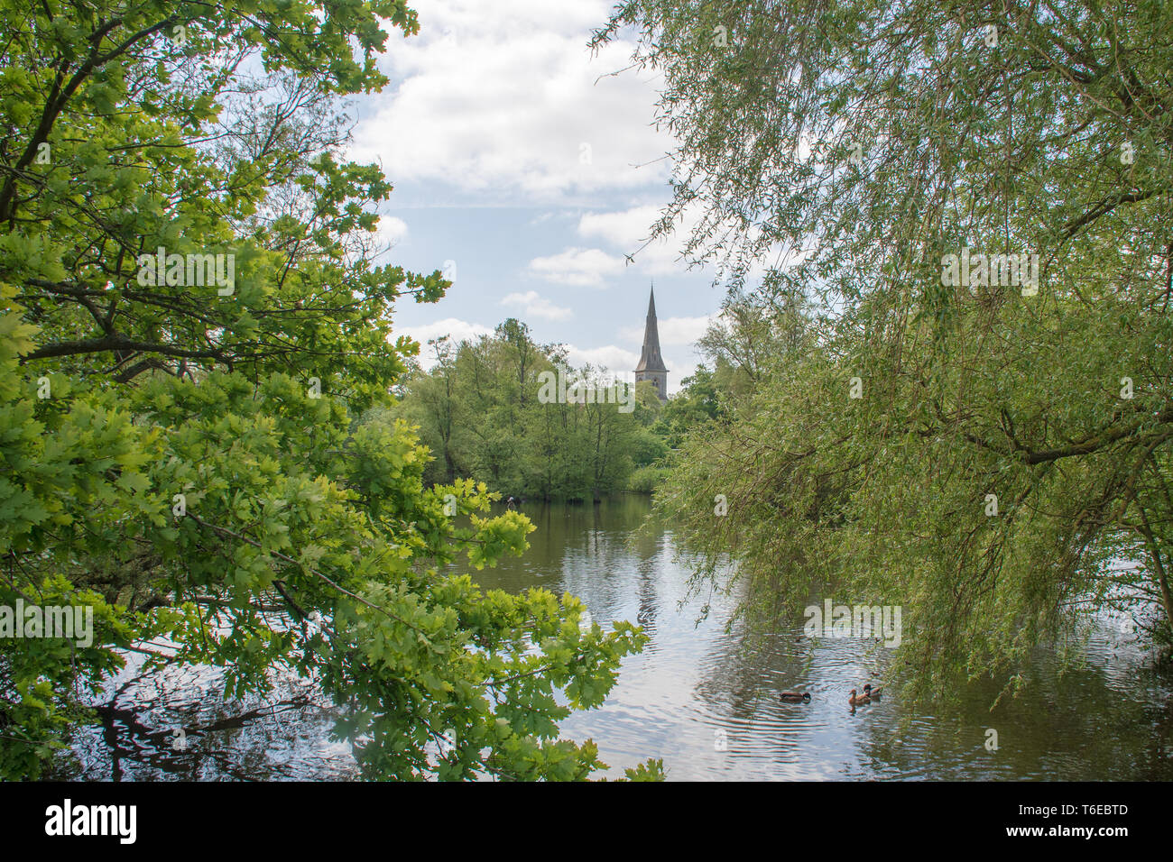 English countryside scene pond ducks and Church Stock Photo - Alamy