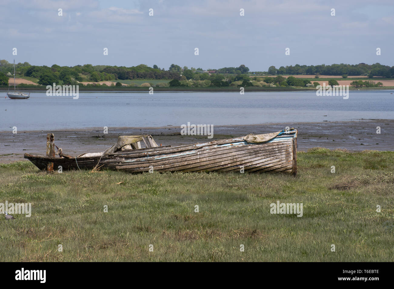 Boat on the river shore hi-res stock photography and images - Alamy