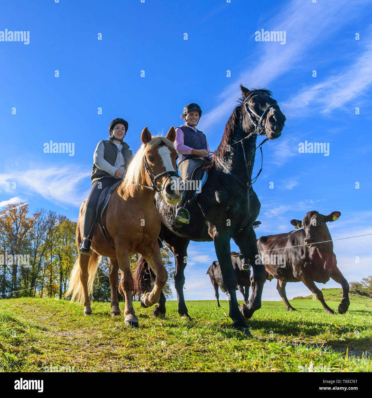 Beautiful woman riding black horse hi-res stock photography and images ...