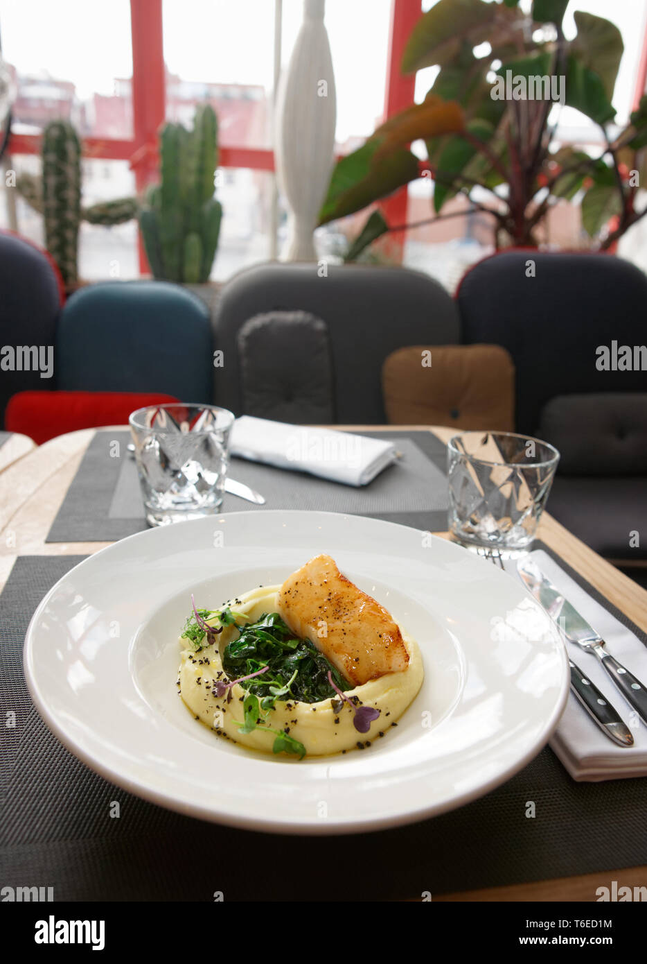 Black cod fillet hi-res stock photography and images - Alamy