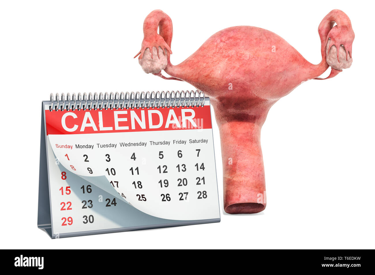 Planning pregnancy concept, 3D rendering Stock Photo - Alamy