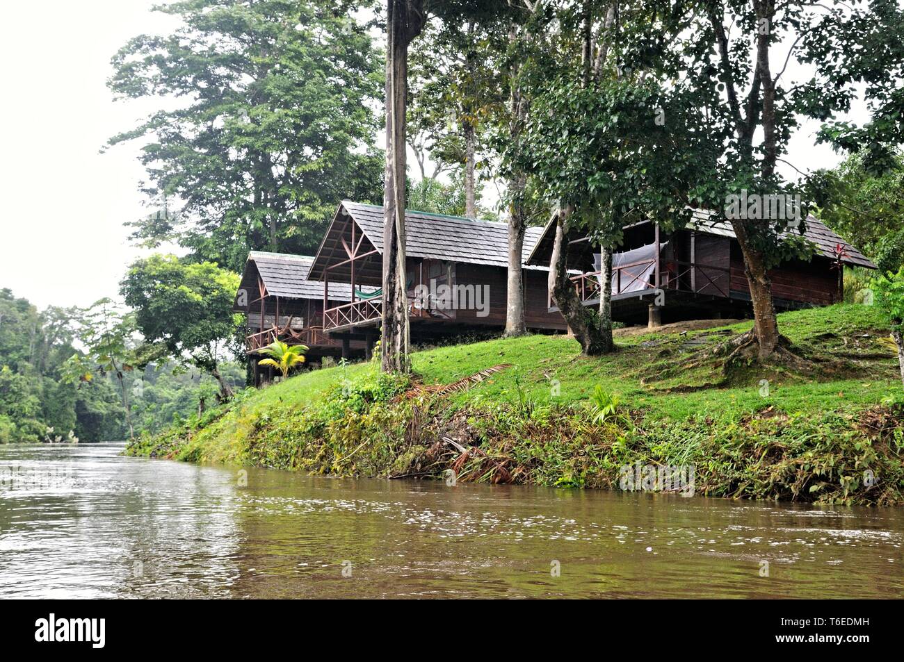 Suriname river rainforest hi-res stock photography and images - Alamy