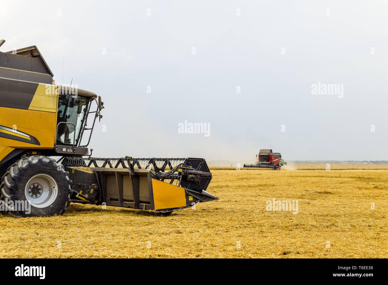 Harvesting wheat with a combine harvester Stock Photo - Alamy