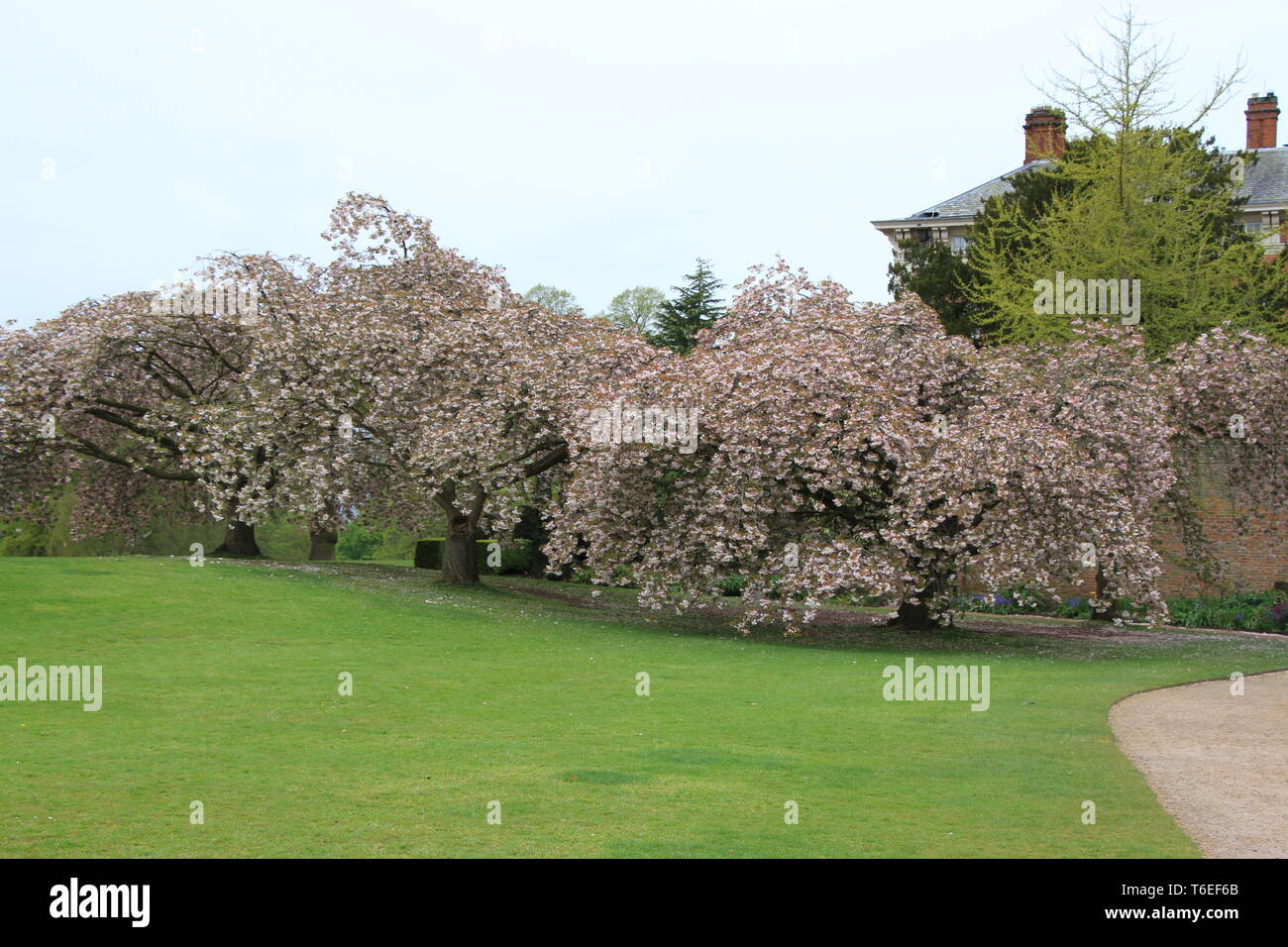 Beningbrough hall hi-res stock photography and images - Alamy
