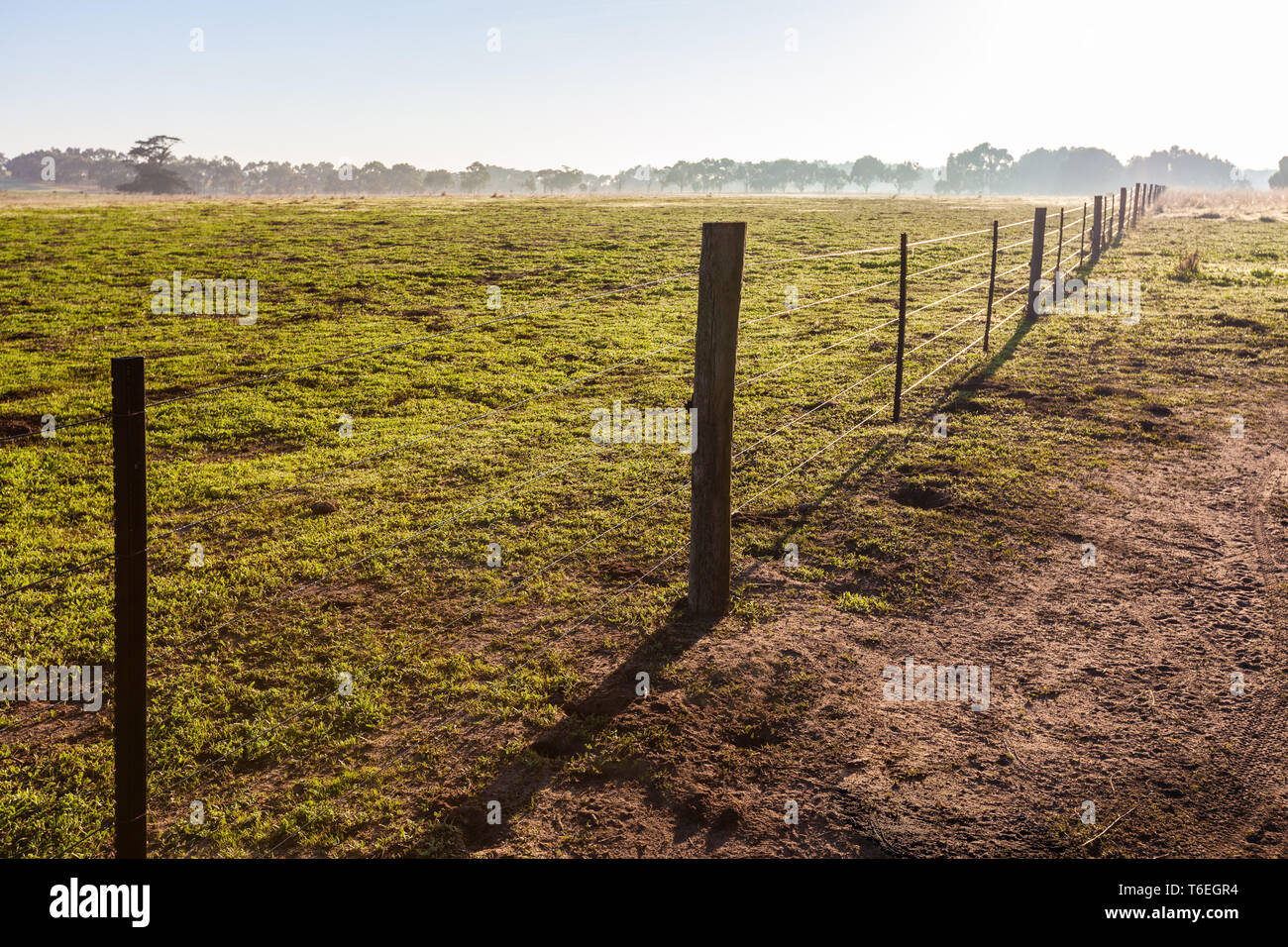 Green pasture at sunrise fenced off Stock Photo - Alamy