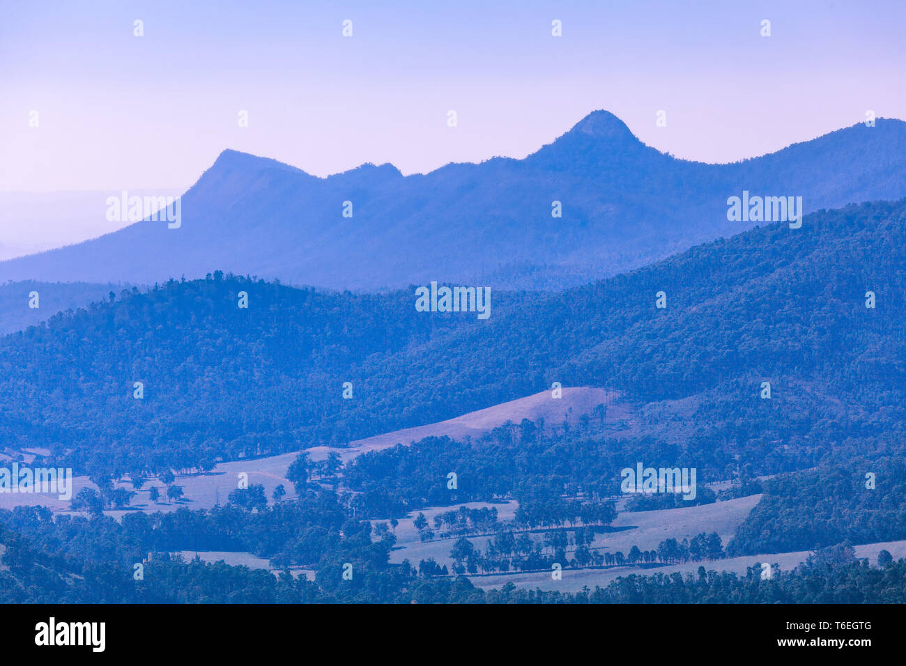 Yarra Ranges national park landscape with forest and mountains Stock ...