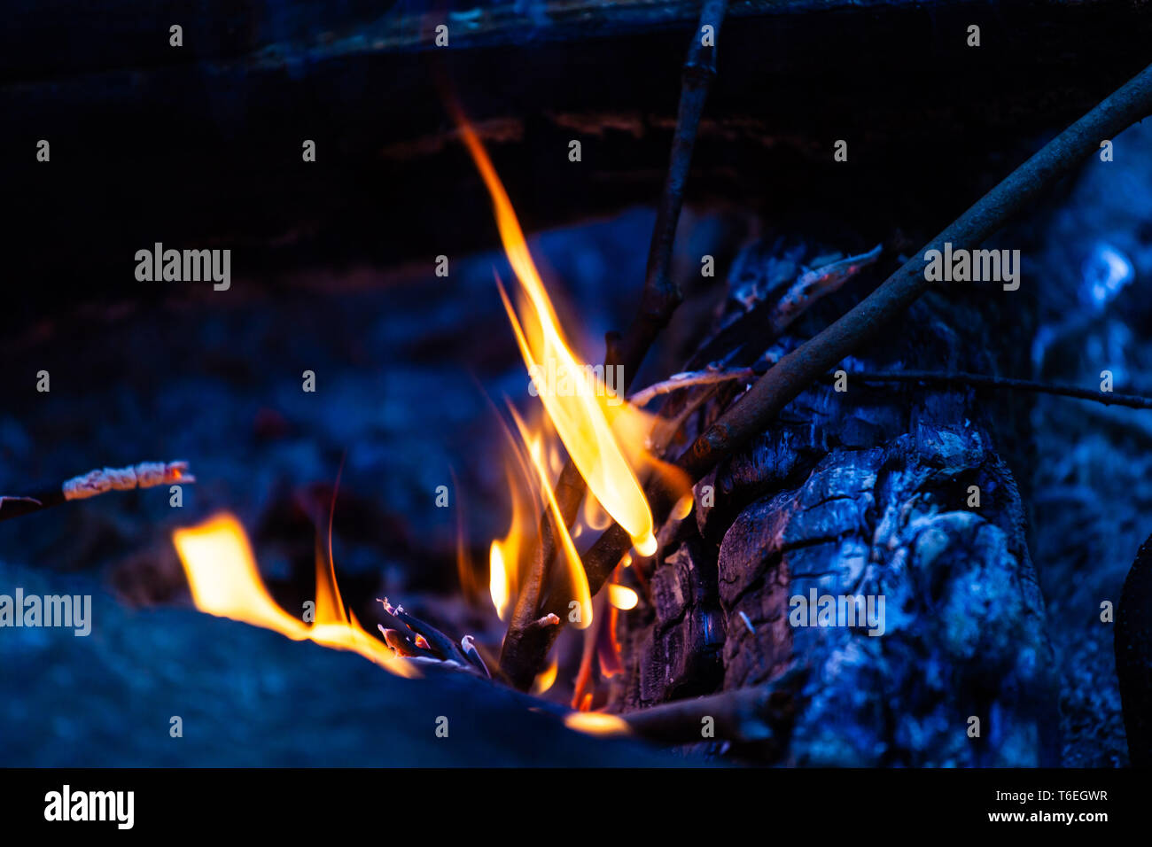 Bonfire burning tree branches in hi-res stock photography and images ...