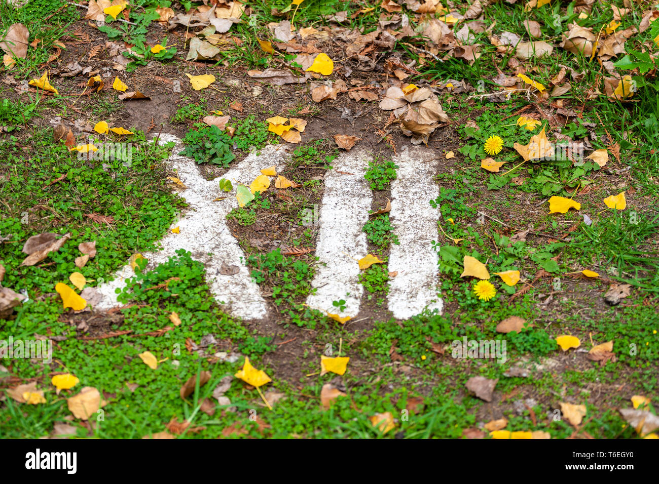 White paint on grass hi-res stock photography and images - Alamy