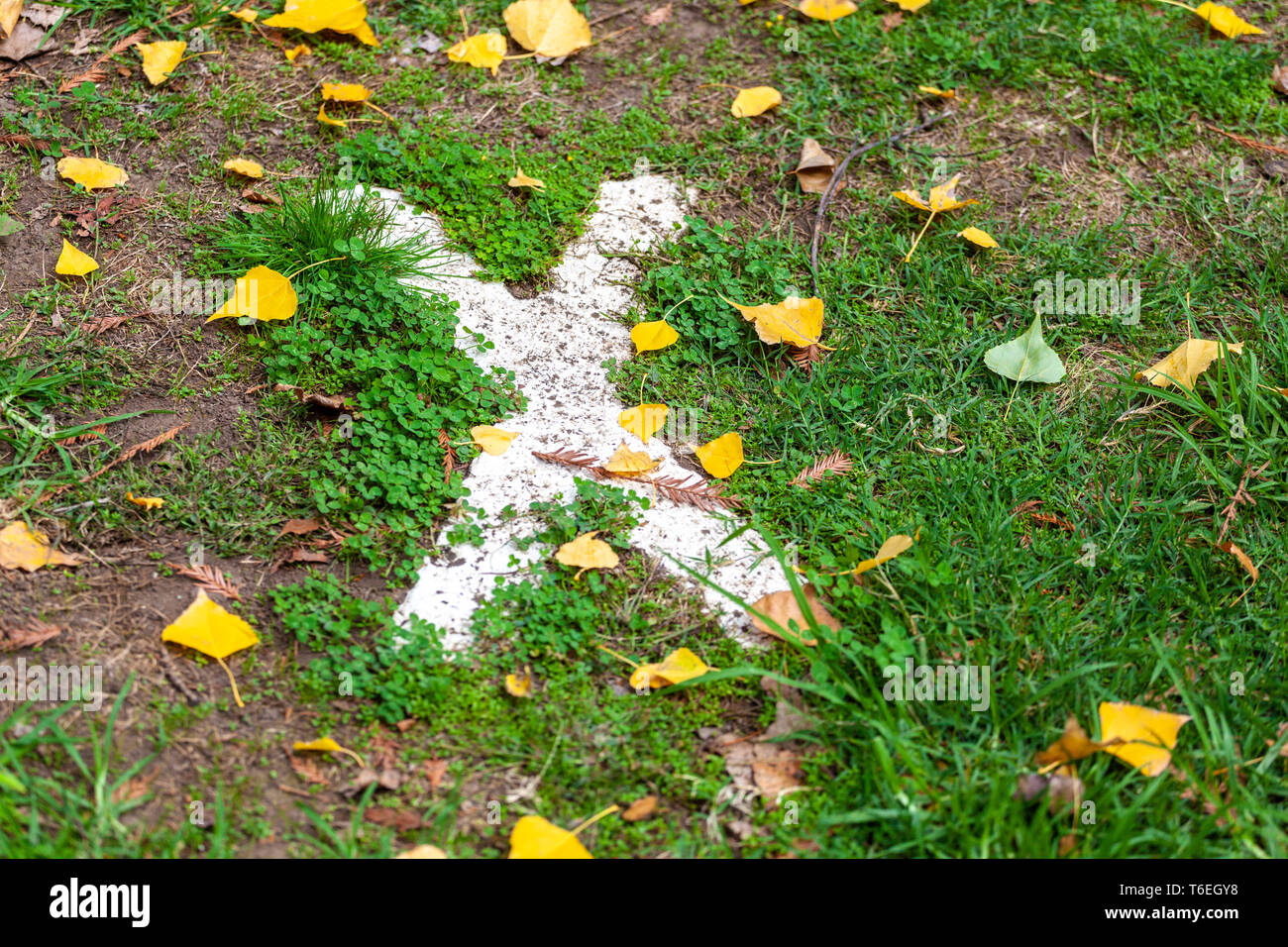 Roman numerals - number 10 painted with white paint on grass Stock ...