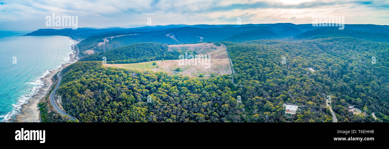 Forest near the Ocean - wide aerial panorama Stock Photo - Alamy