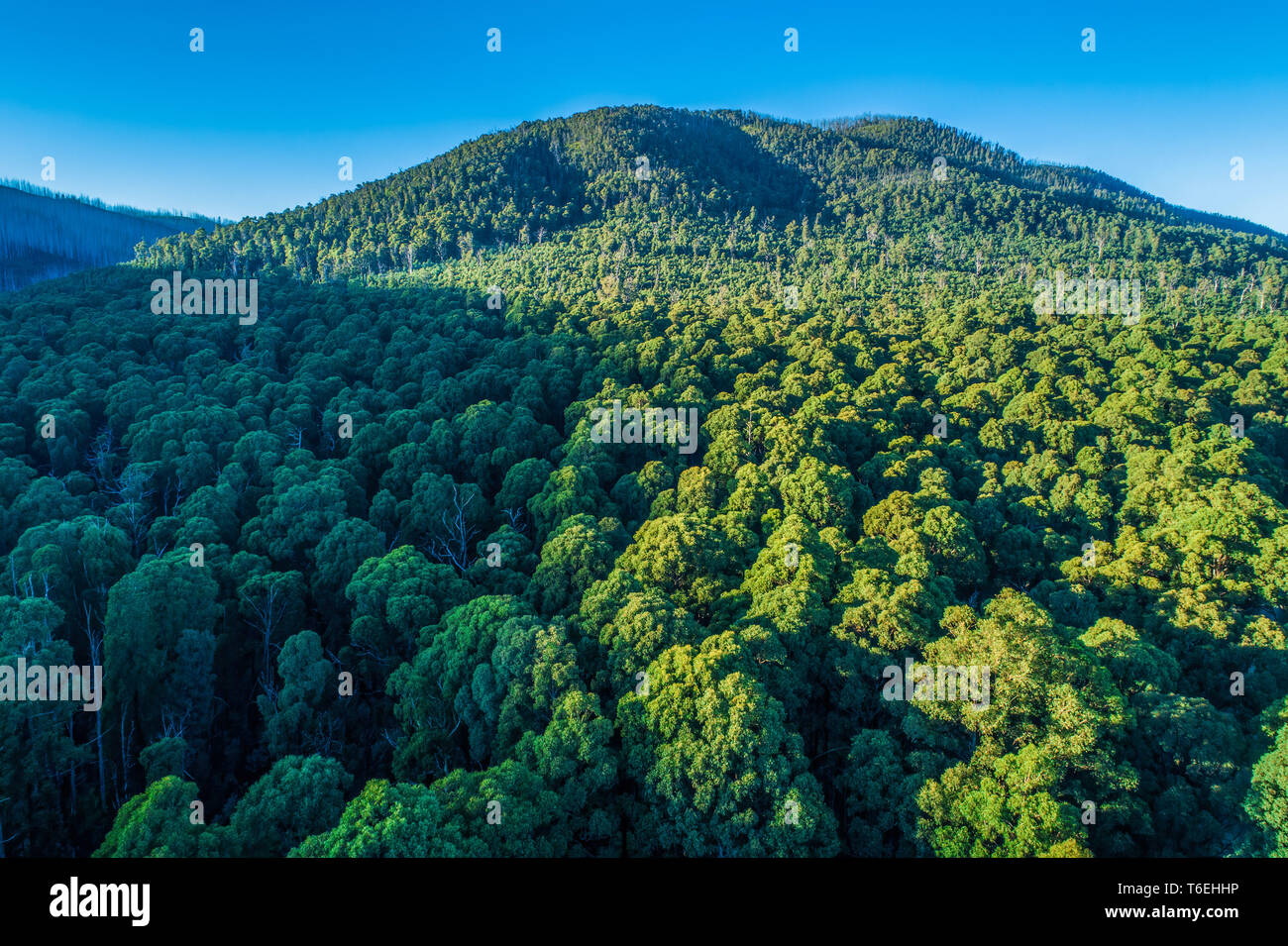 Victoria mill park hi-res stock photography and images - Alamy