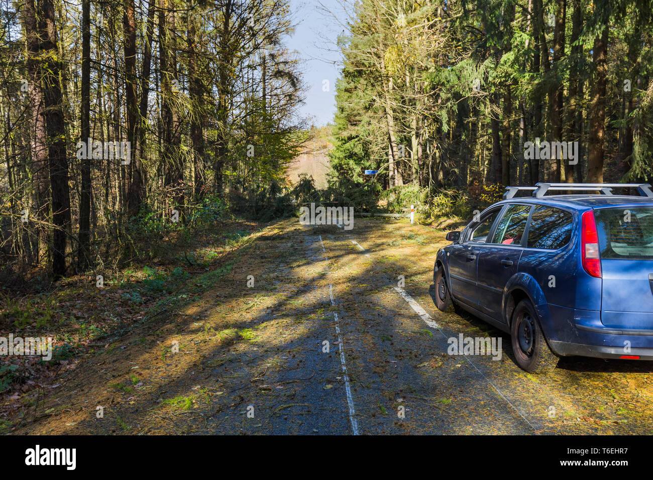 Tornado forest hi-res stock photography and images - Alamy