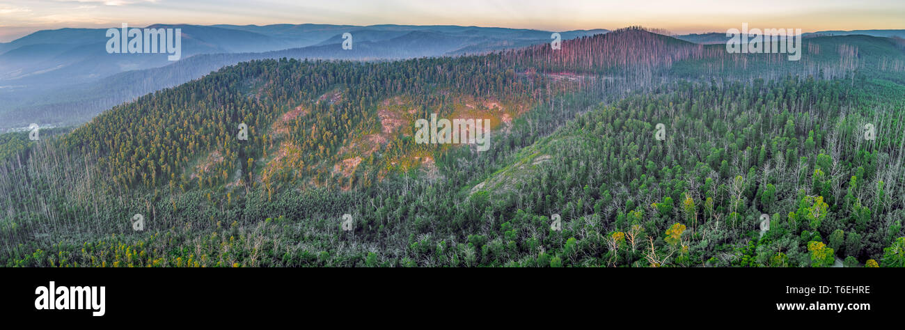 Aerial panorama of Yarra Ranges National Park in Victoria, Australia ...