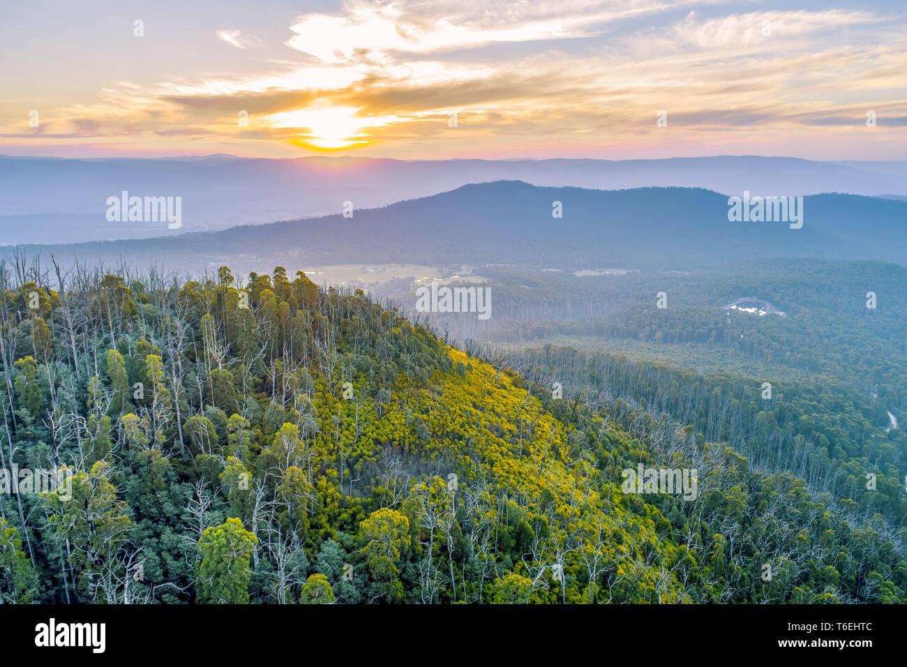 Yarra Ranges National Park at sunset Stock Photo - Alamy