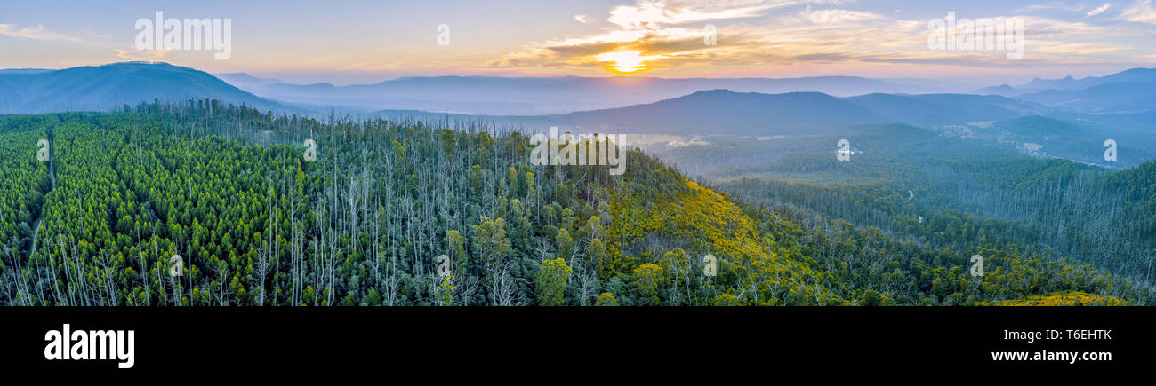 Sunset over mountains and forest in Yarra Ranges National Park - aerial ...