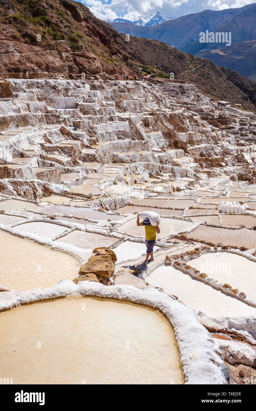Worker collecting salt at family-owned Salt-evaporation ponds of Maras ...