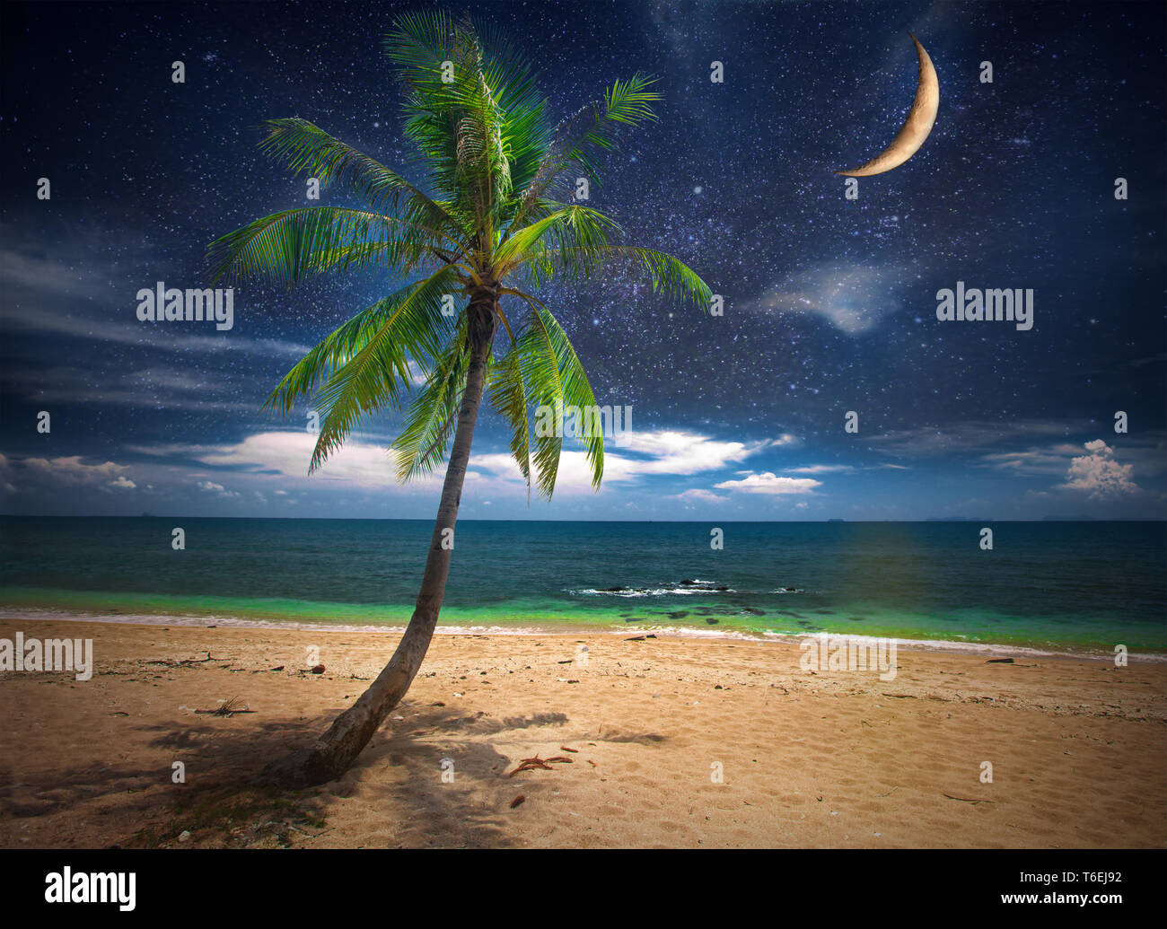 Night tropical hi-res stock photography and images - Alamy