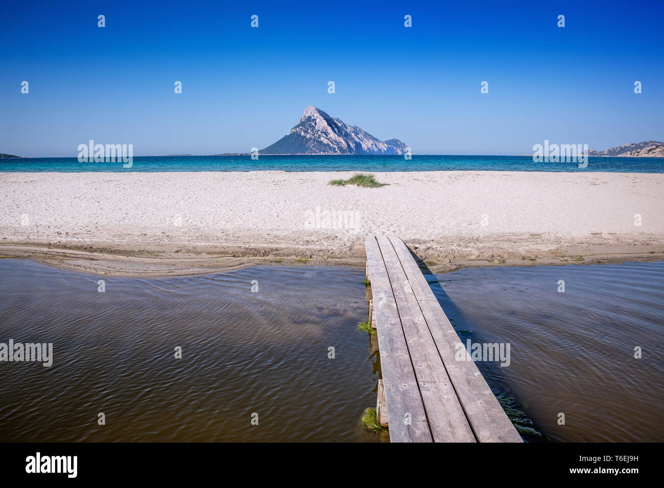 Vision nature hi-res stock photography and images - Alamy