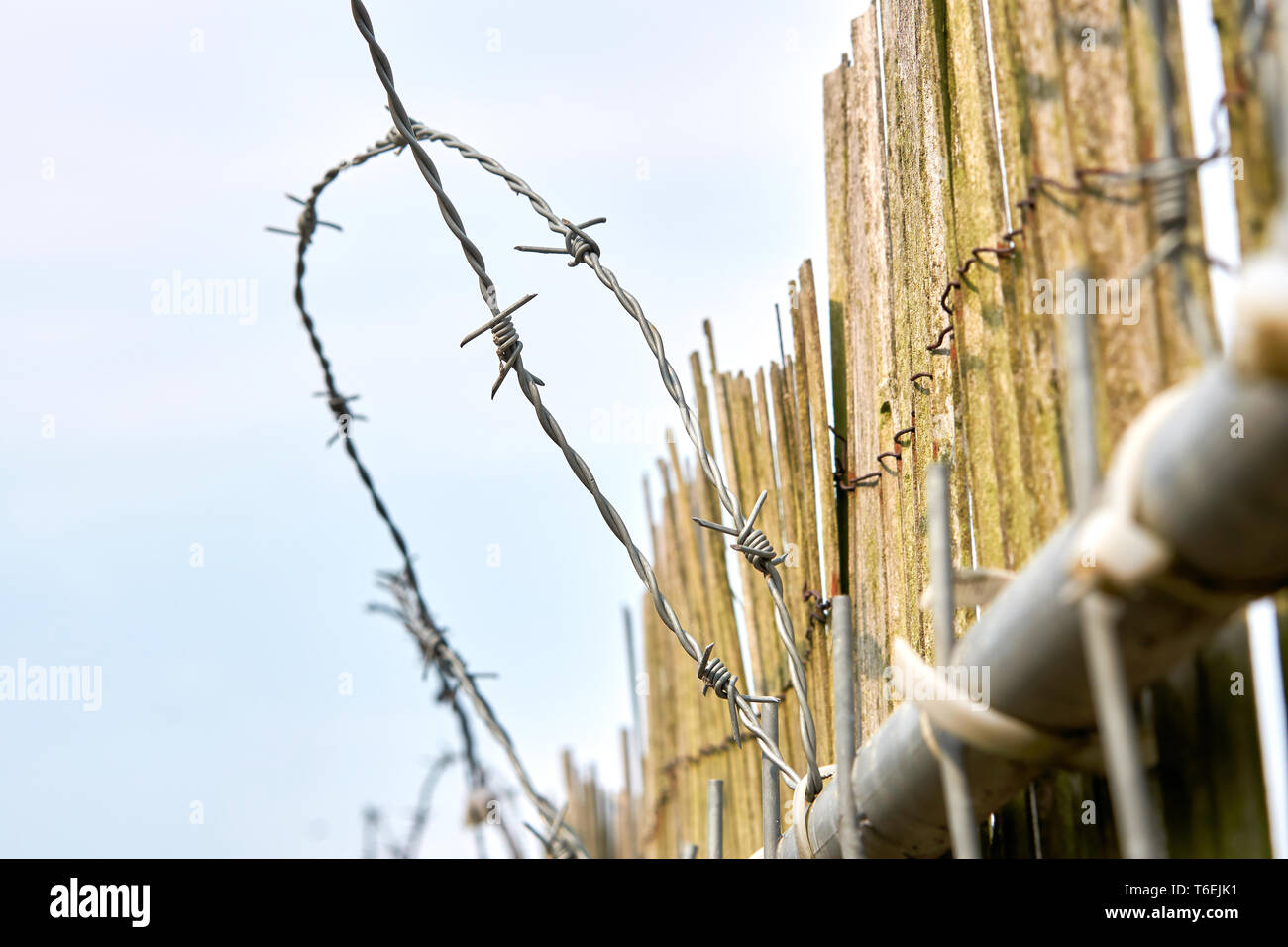 Barbed wire as protection against burglars on a fence Stock Photo - Alamy