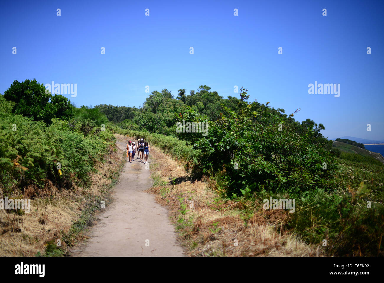 Ons Island in the coast of Pontevedra, Galicia, Spain Stock Photo - Alamy