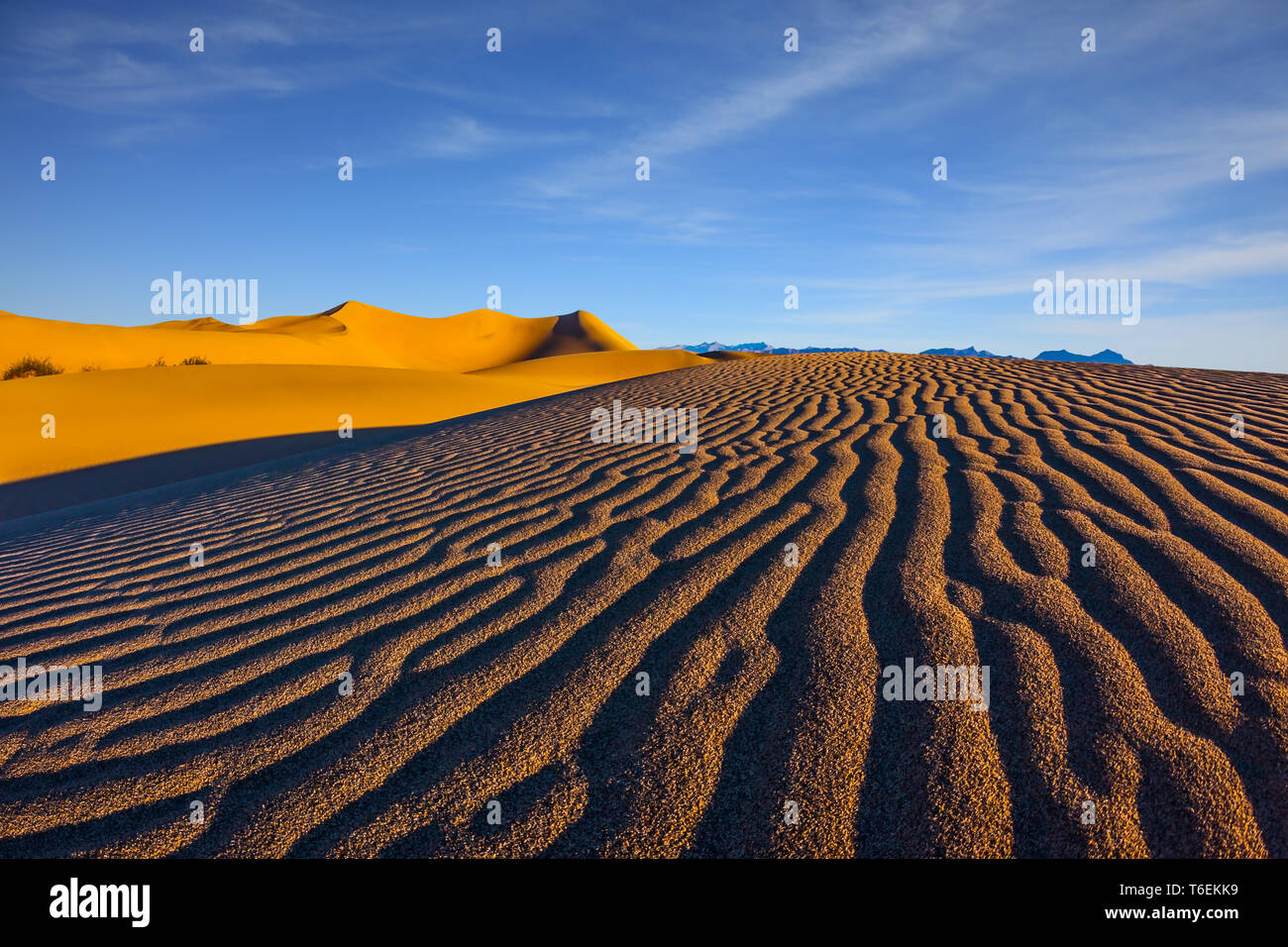 Magnificent sandy waves on dunes Stock Photo - Alamy