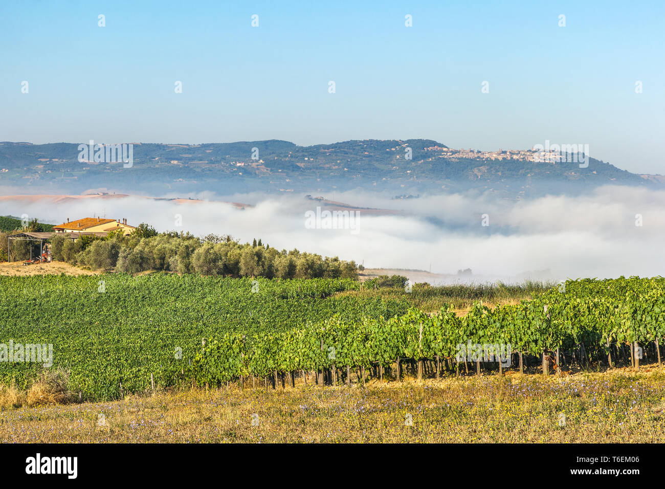 Tuscany fields farmhouse hi-res stock photography and images - Alamy